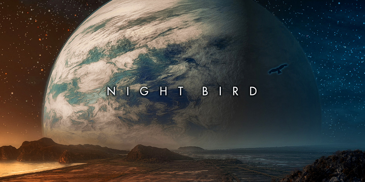 NIGHT BIRDとは | NIGHT BIRD